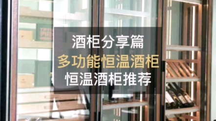 恒温酒柜家用-红酒柜