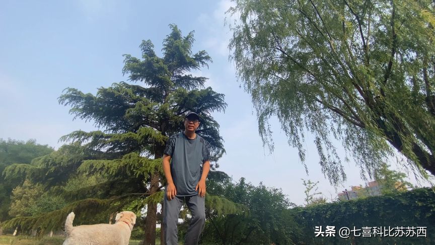 大疆手机稳定器om4自拍跟踪,4米以内有效