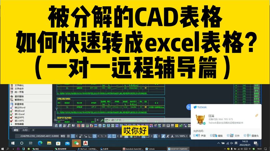 分解成线条的CAD表格,如何快速转成excel表格?一对一远程辅导篇