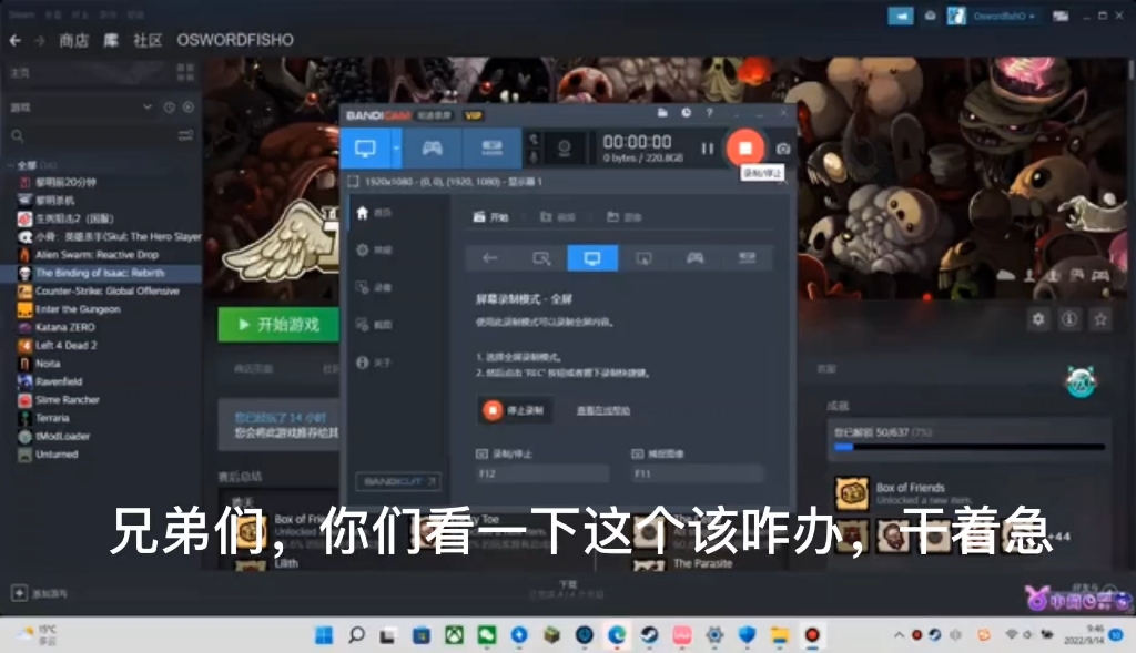 以撒的结合dlc胎衣+,求问题解决方法