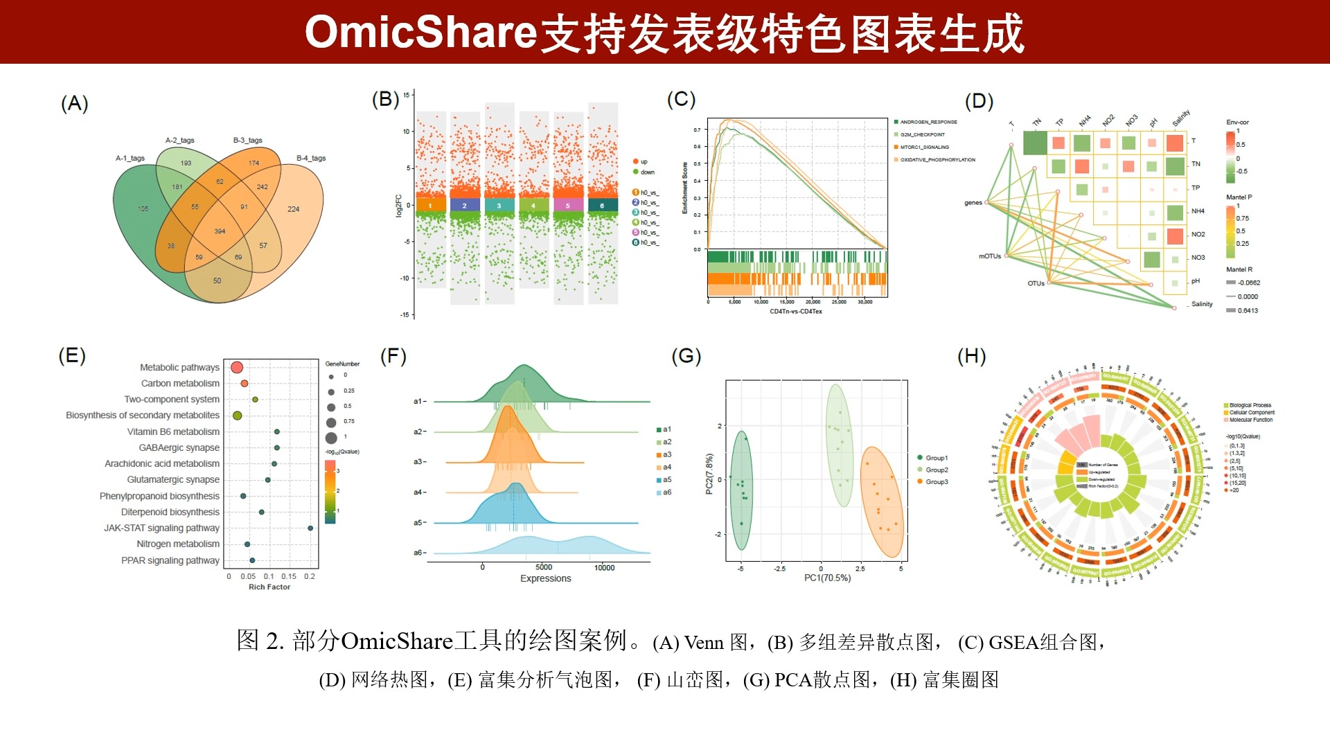 iMeta | OmicShare:交互式的在线生物数据分与可视化工具