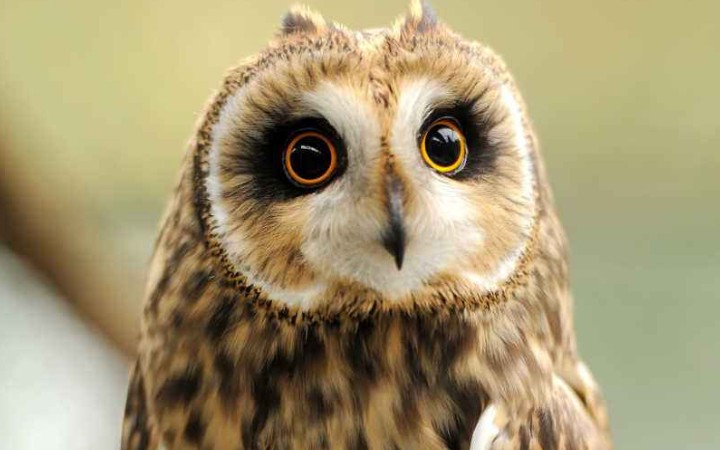 理论声学 张海澜 中国科学院 全86讲