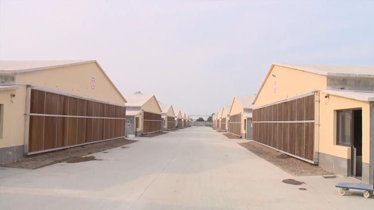 43秒丨潍坊青州市:开展畜禽养殖污染防治专项整治行动