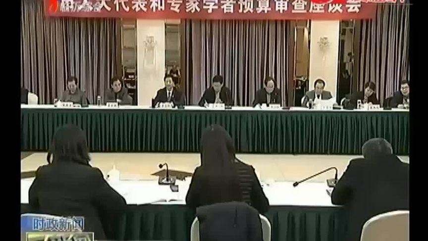 临沂市人大代表和专家学者预算审查座谈会召开