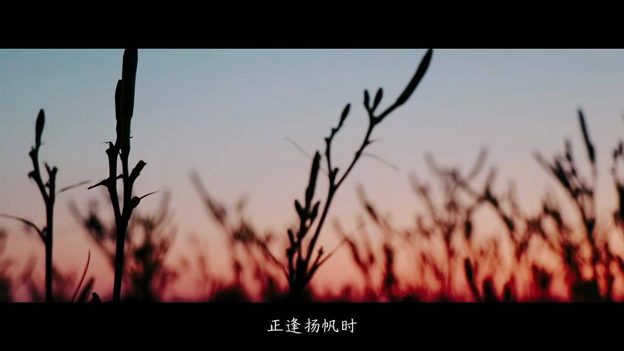 ...复兴有我】青春遇见庆阳(记者:王文婷)#三下乡大学生暑假实践活动