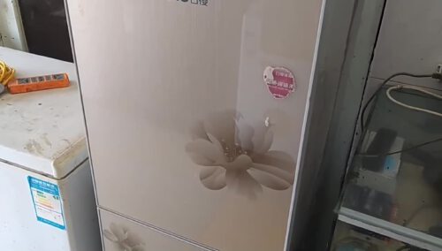 揭秘多系统冰箱冷启动!各温区真的同步制冷?实测结果太意外
