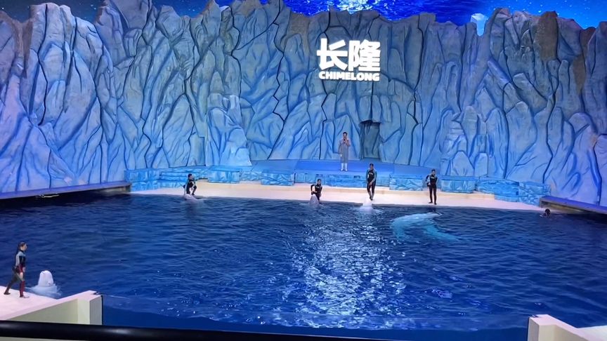 打卡珠海长隆海洋王国✌️海豚ߐ�表演