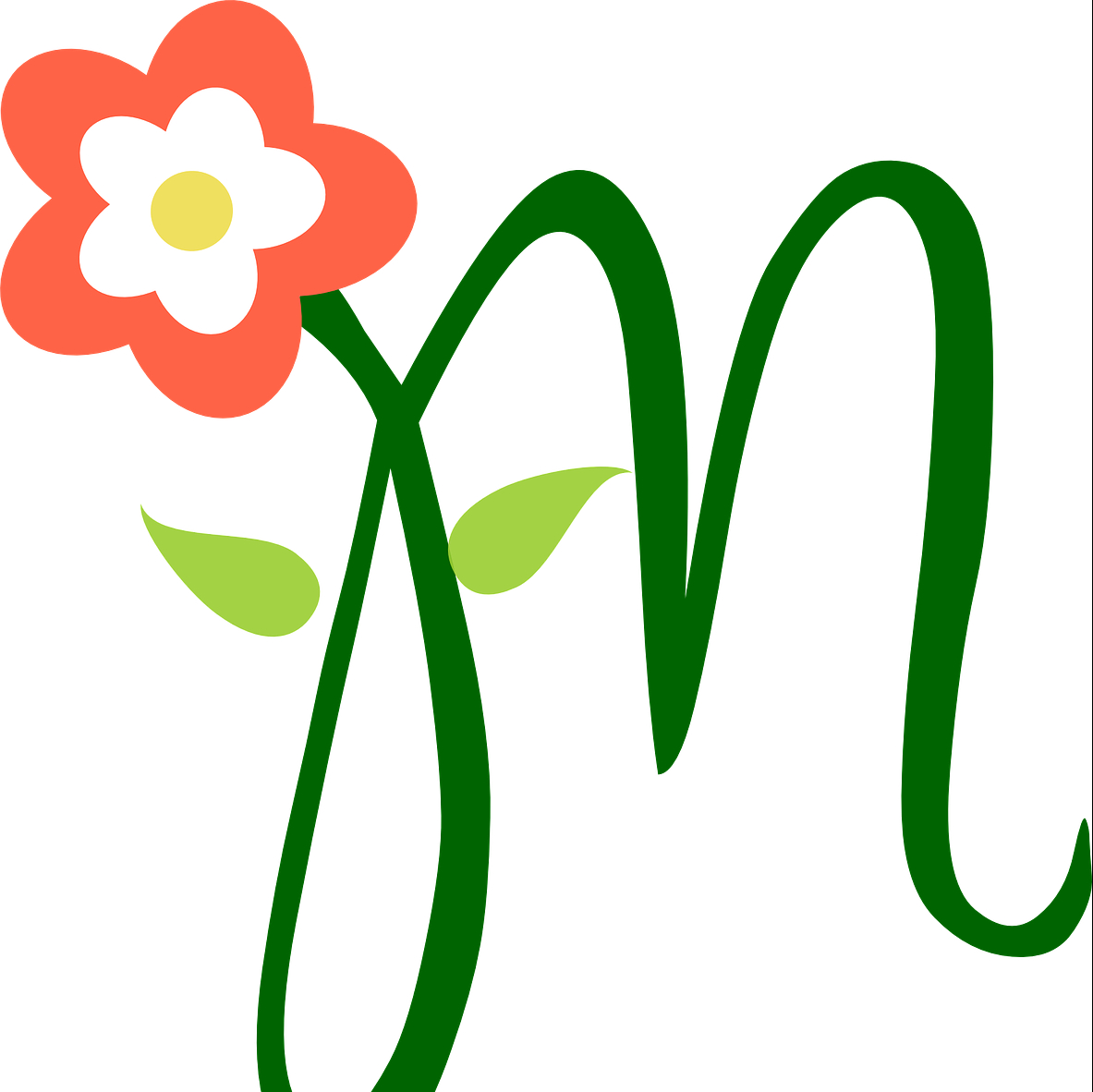 财务民工Lina 