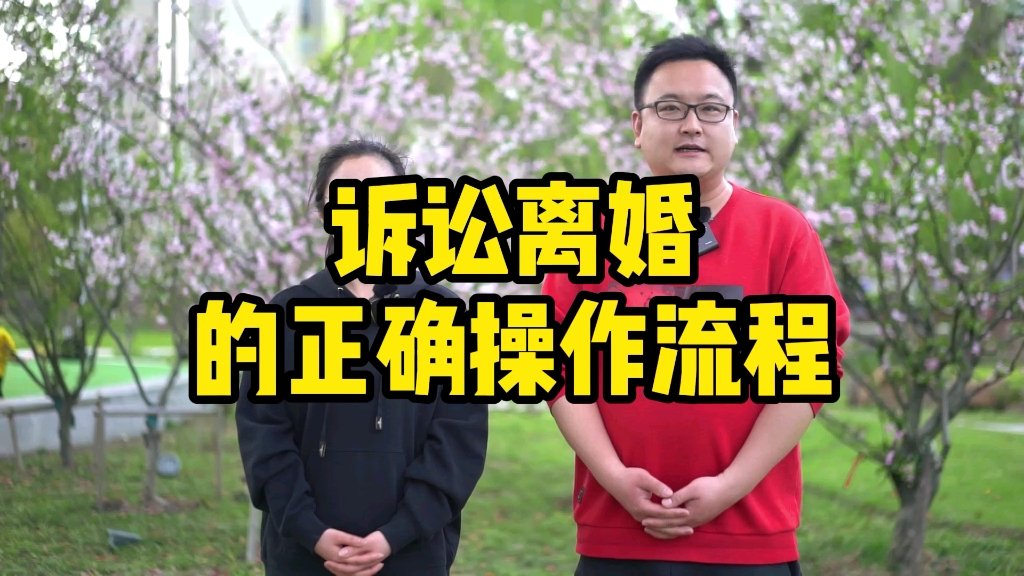 诉讼离婚的流程是什么,有哪些注意事项呢?