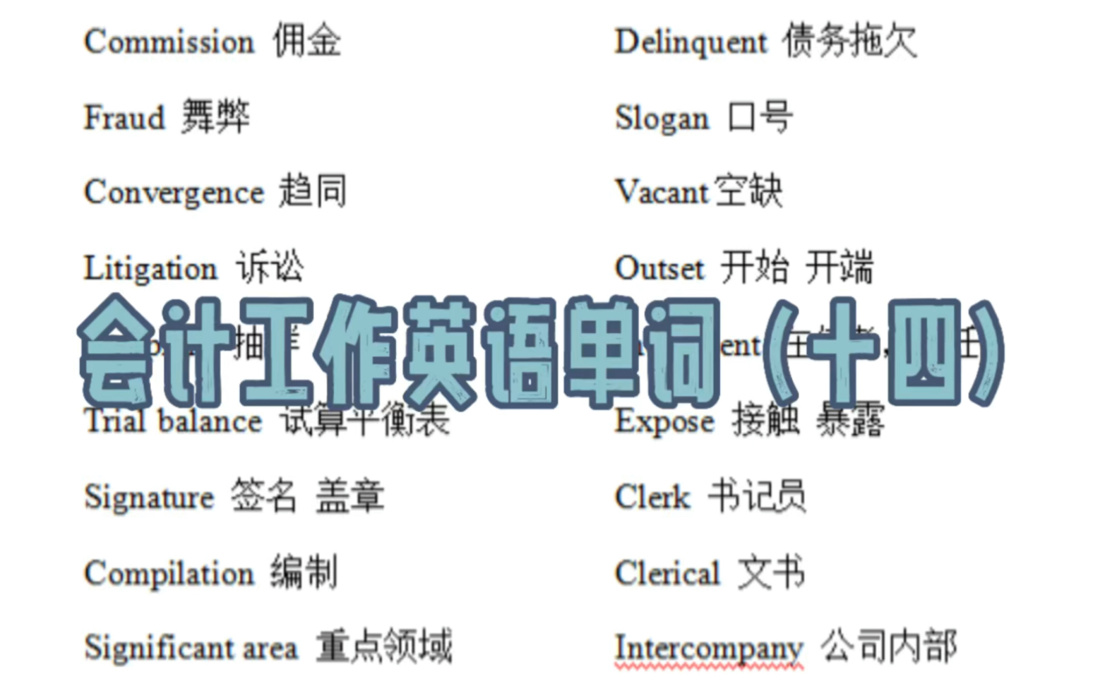 会计工作英语单词(十四)
