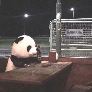 土蕃鼠 