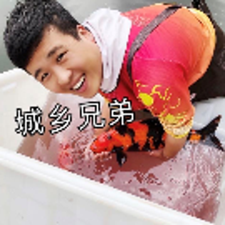 乡村章小鱼