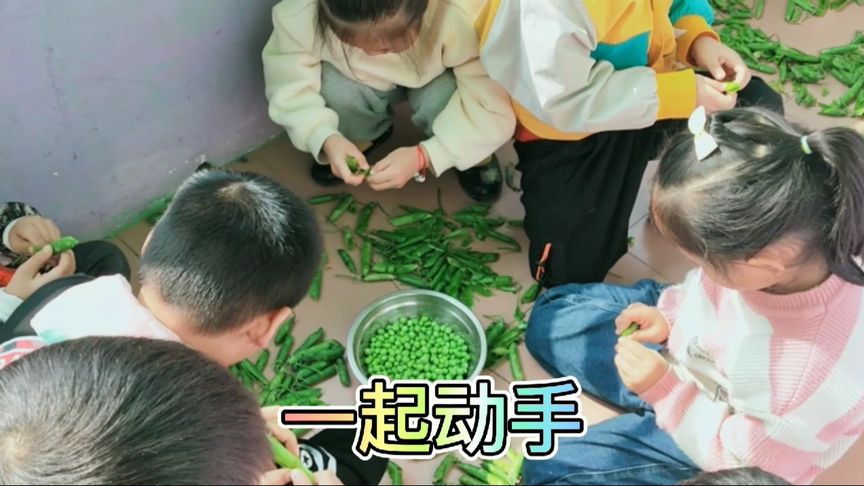 幼儿园生活劳动游戏剥豆豆