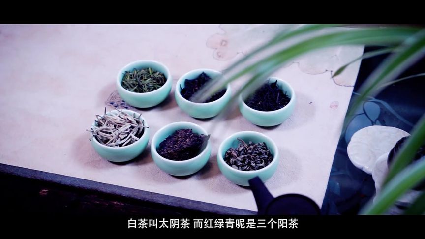茶一共分六大类:黑、白、黄、红、绿、青,你经常喝的是哪一种?