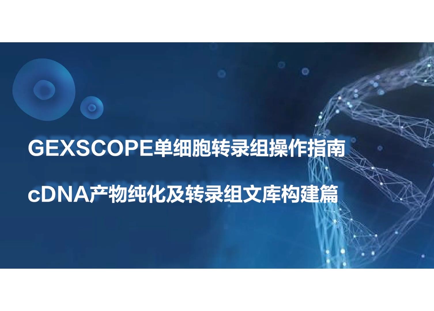 GEXSCOPE单细胞转录组操作指南-cDNA产物纯化及转录组文库构建篇