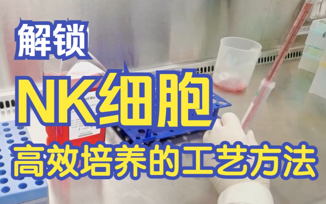 解锁NK细胞高效培养的工艺方法