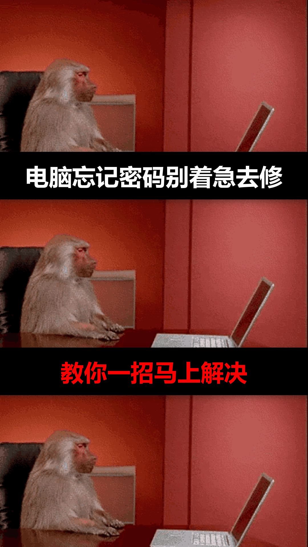 电脑忘记密码别着急扔,一招教你破解