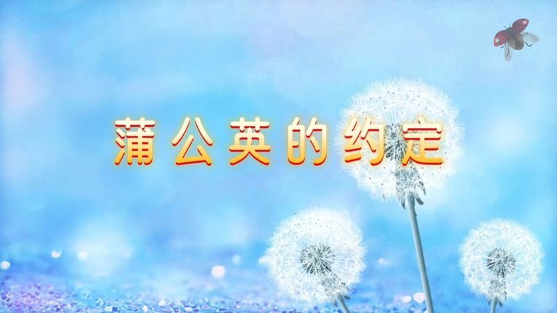 蒲公英的约定歌曲蒲公英飞翔年会晚会舞台演出节目大屏幕高清LED...