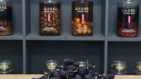 泡桑葚酒的方法_桑葚酒泡酒比例多少_请问桑葚怎么泡酒