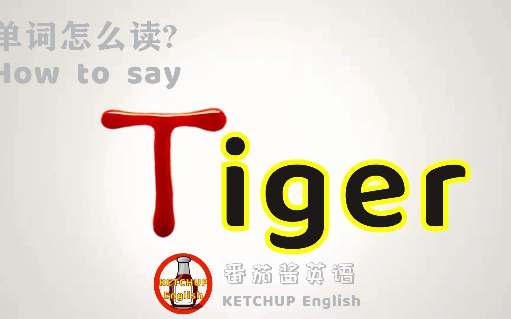 外教发音|How To Pronounce Tiger【老虎】怎么读?|学单词背单词