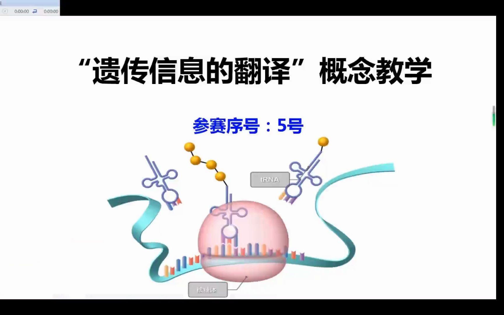 21-05 遗传信息的翻译