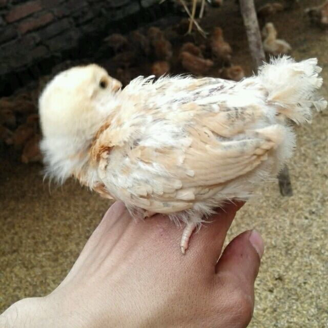 小魏的奋斗人生路