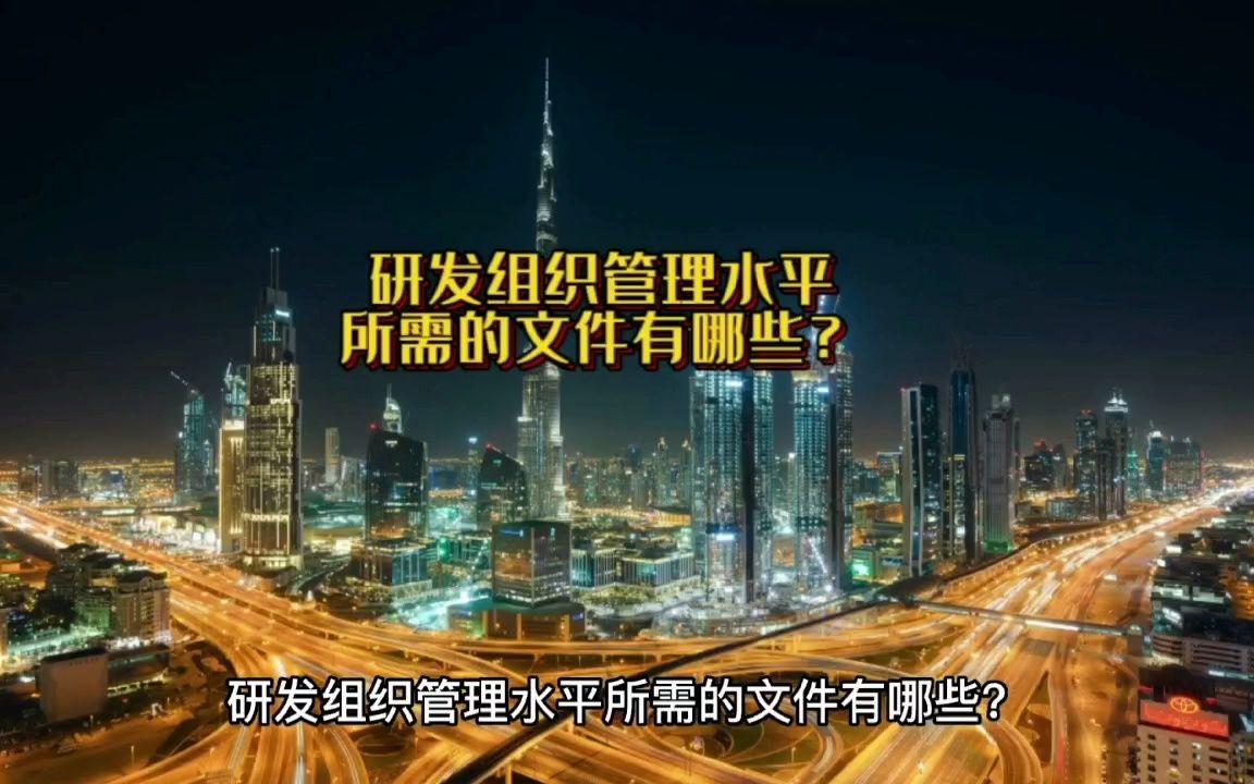 研发组织管理水平所需的文件有哪些?