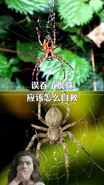 没有出现什么不适的症状