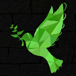 一丢懵 