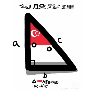勾股定理新加坡 