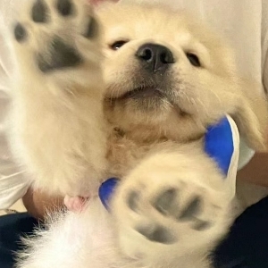 _茄汁旦旦 