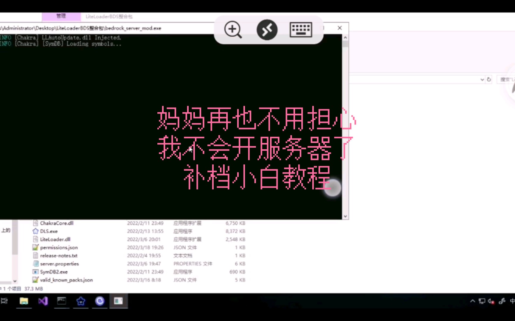 教你如何开一个可以加插件的bds服务器-小白片1