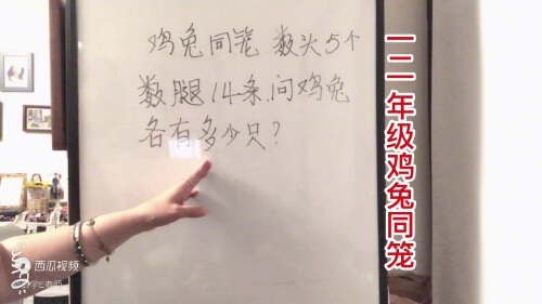 一二年级鸡兔同笼问题数形结合培养孩子独立思考能力