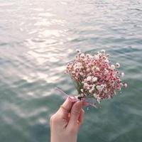 快乐潇潇