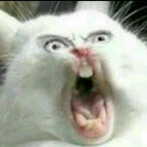 出日炎的雪人 
