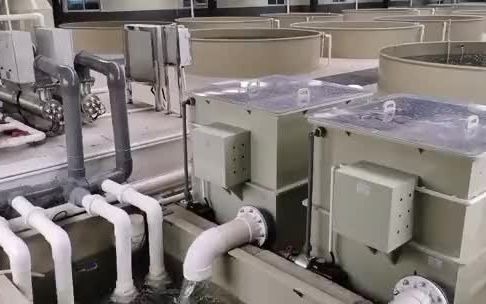 亩产30万公斤?看工厂化循环水生态养鱼是如何做到的?