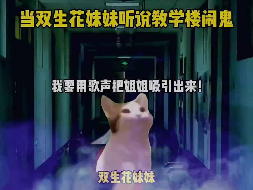 当双生花妹妹听说闹鬼,教学楼惊现诡异事件,真相令人震惊