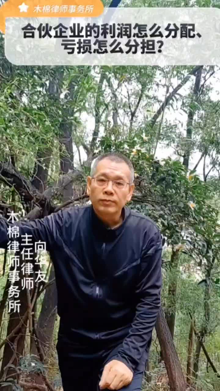 合伙企业的利润怎么分配、亏损怎么分担?