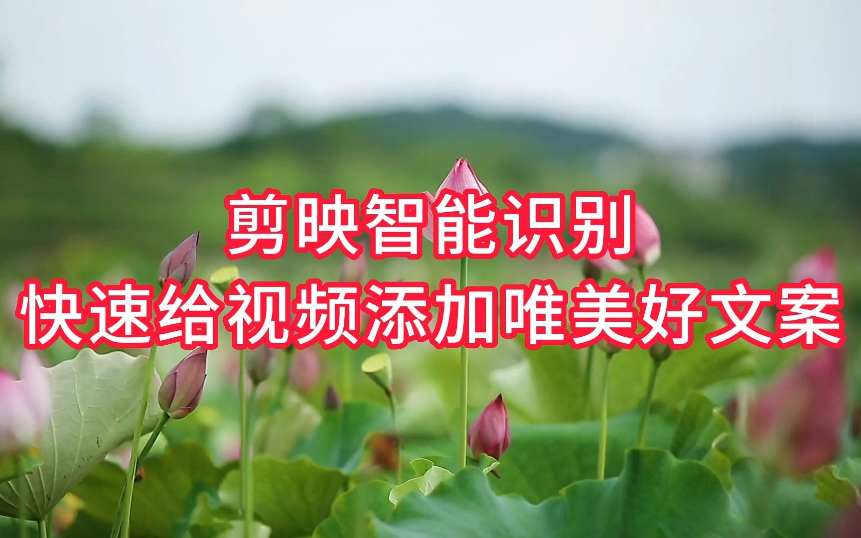 剪映强大的智能识别功能,一键快速给视频添加唯美的文案