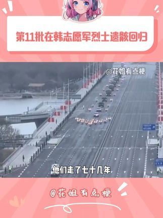 山河无恙,欢迎英雄回家了 #在韩志愿军遗骸归国 #抗美援朝 #英雄回家.