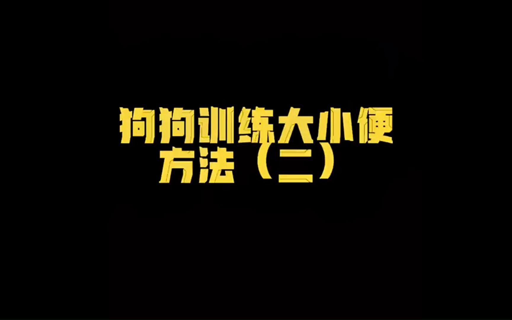 如何教狗狗在厕所大小便 训练狗狗大小便的方法