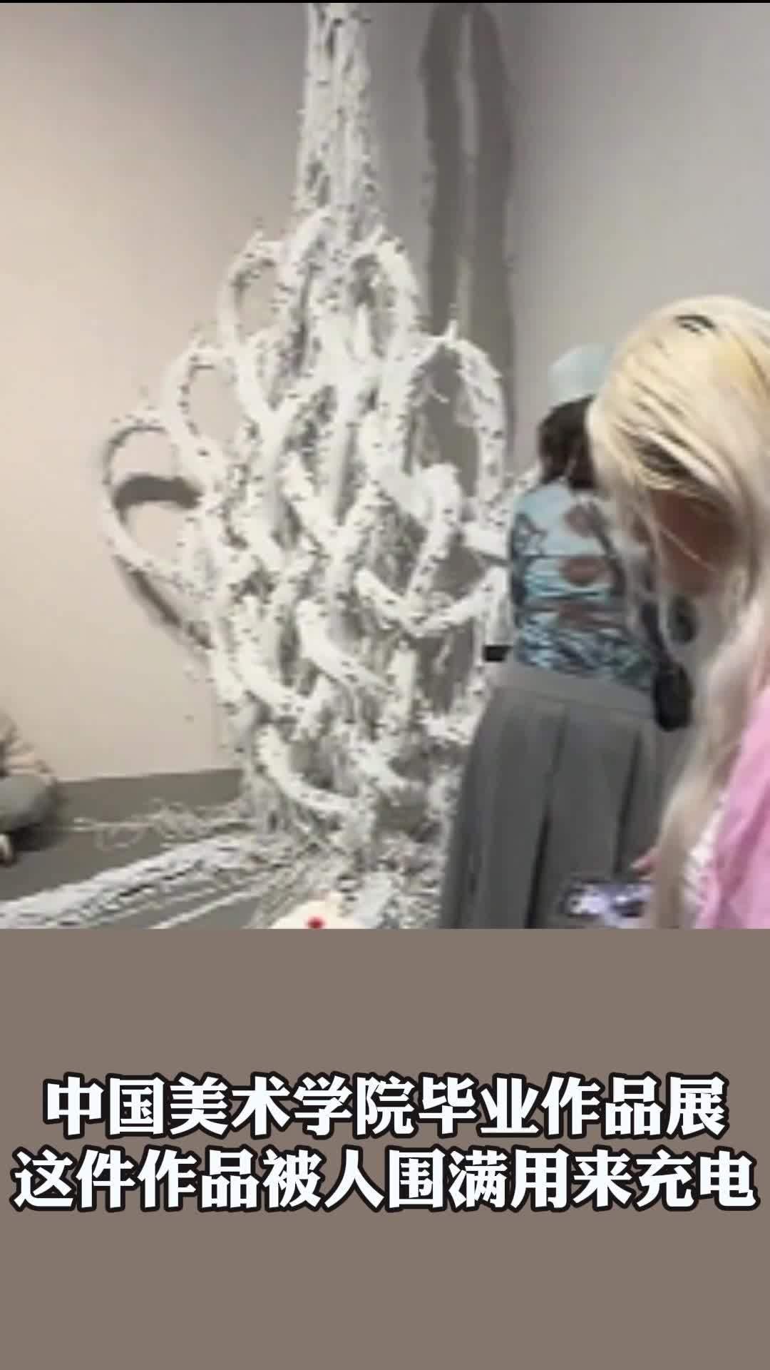 中国美术学院毕业作品展这件作品被人围满用来充电