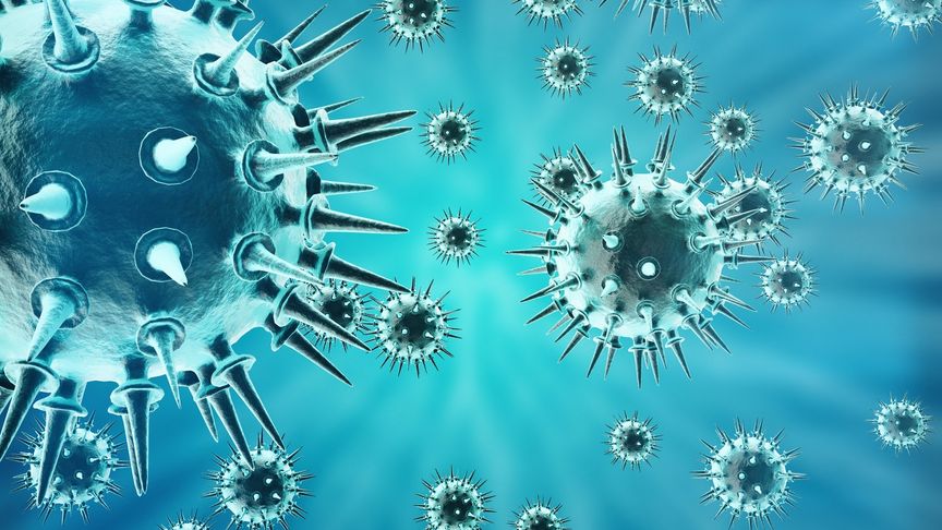 流感病毒有什么特点?“H1N9”这种编号到底是什么意思?