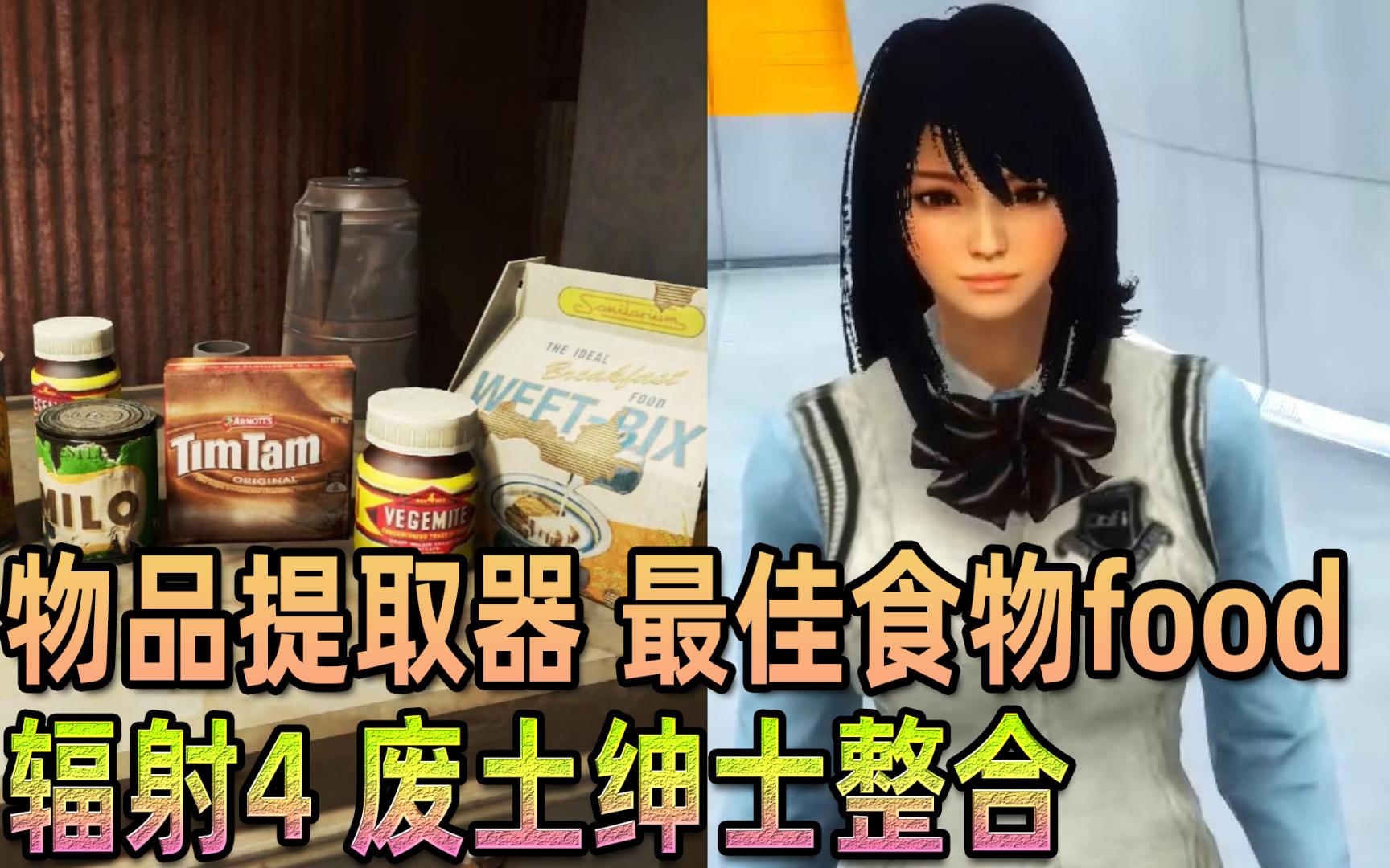 【辐射4问题教程16-1】物品提取去 提取食物food回血+清除辐射 快捷...