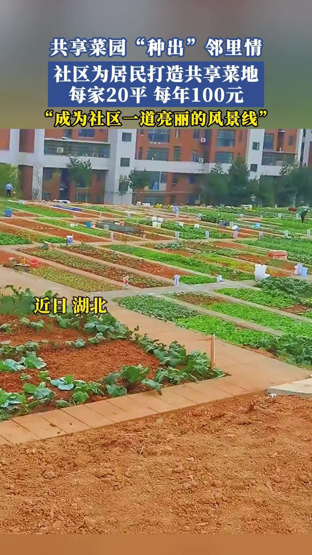 "开心农场"现实版已上线!如果是你选择种什么?