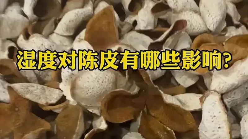 湿度比较高的天气,看我怎么存陈皮!
