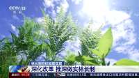 林长制目标如期实现 深化改革 推深做实林长制