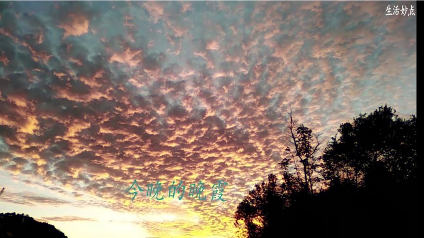 用AE制作出文字跟随音乐跳动