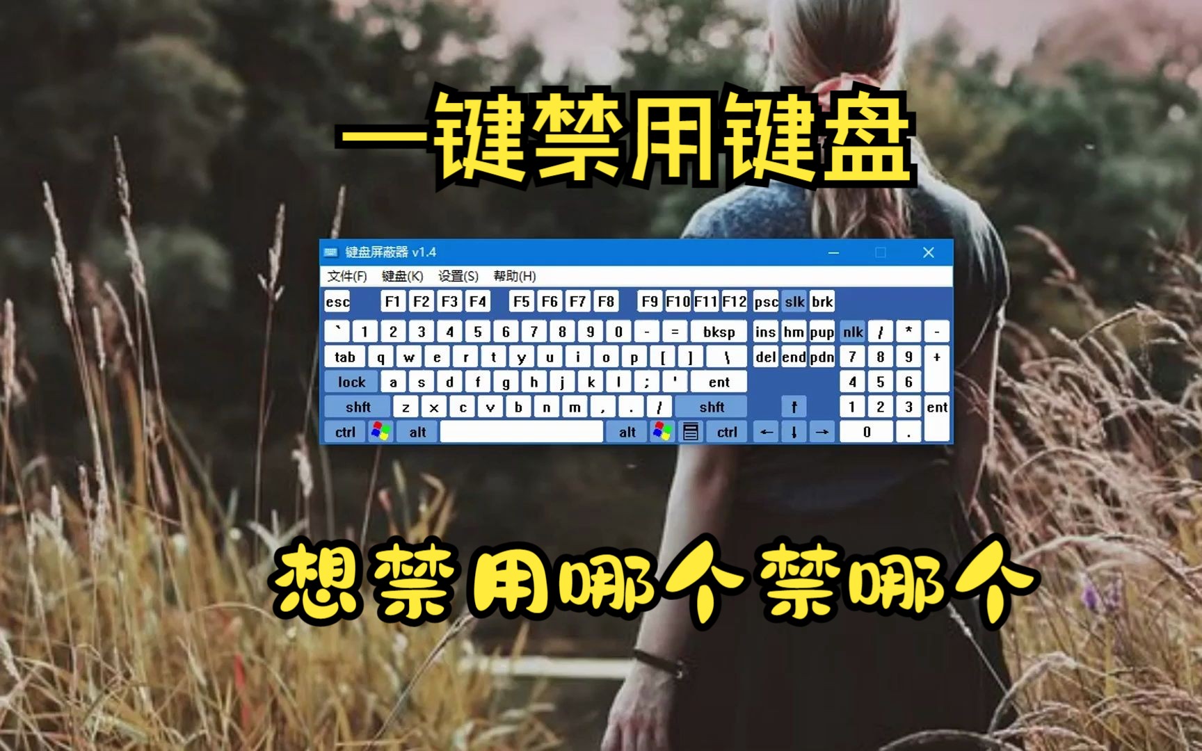 电脑键盘按键禁用神器~
