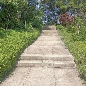 玲子音乐 